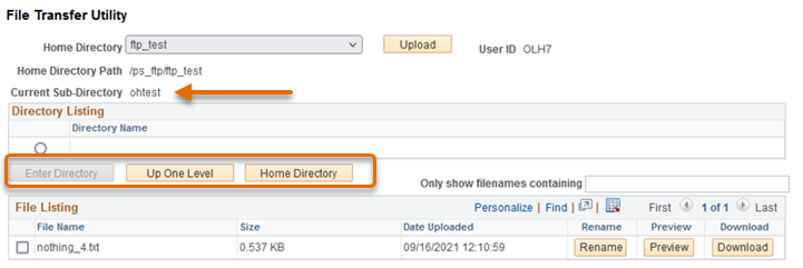 Use the Peoplesoft File Transfer Protocol (FTP) Utility | IT@Cornell